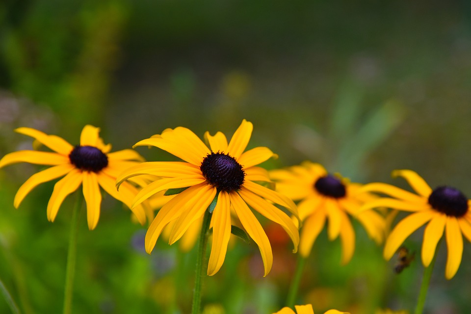 Android studio - Kotlin - Invalid Firebase Database (Tuto Graven) - Kotlin