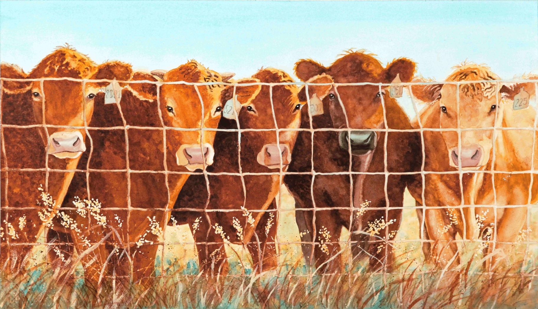 Originals | Beth Owen Watercolors