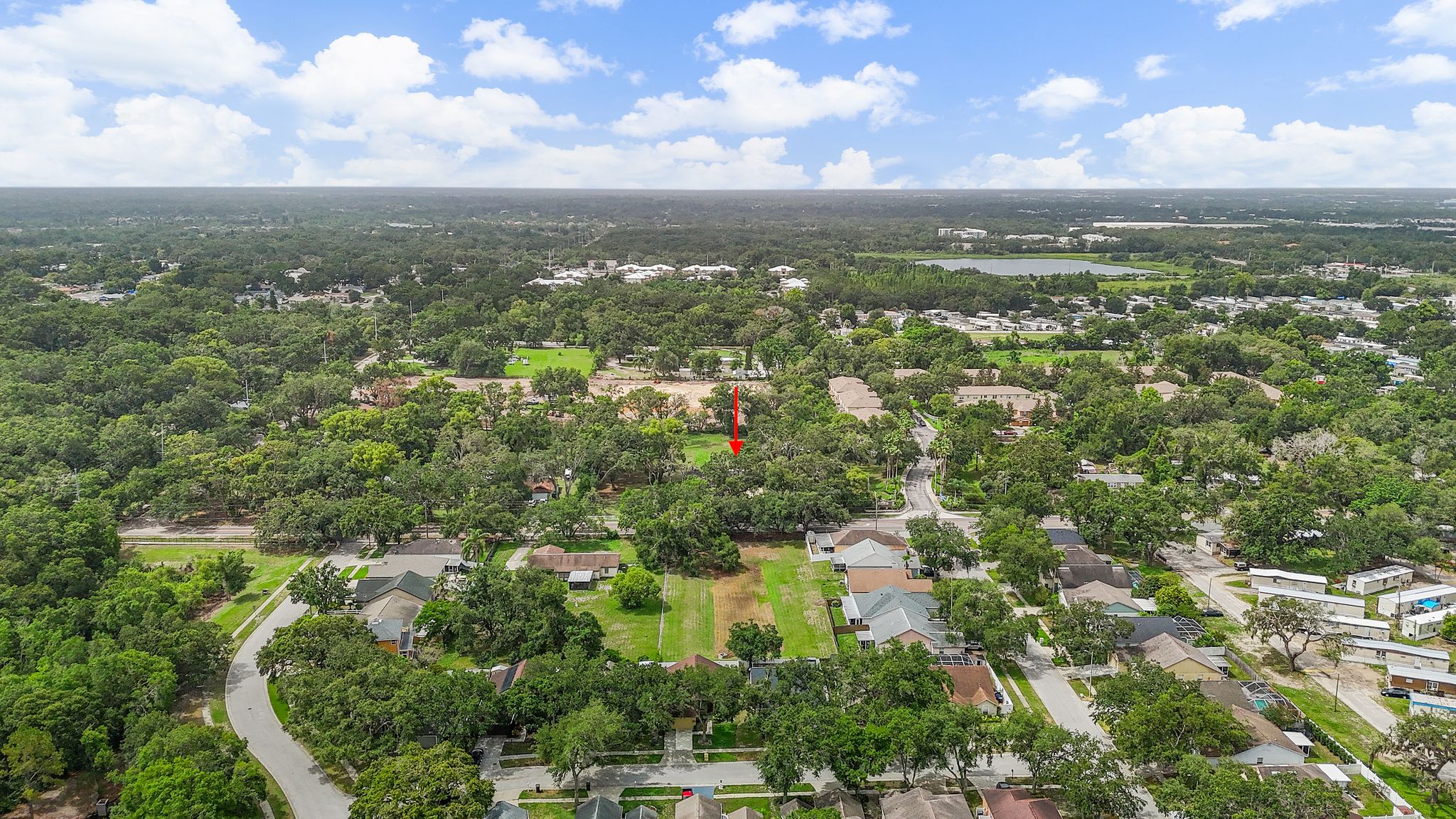 11029 Clay Pit Road, Tampa