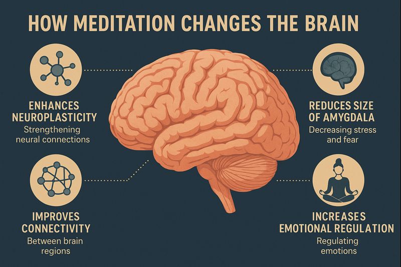 How Meditation Changes Your Brain | Bonding Health