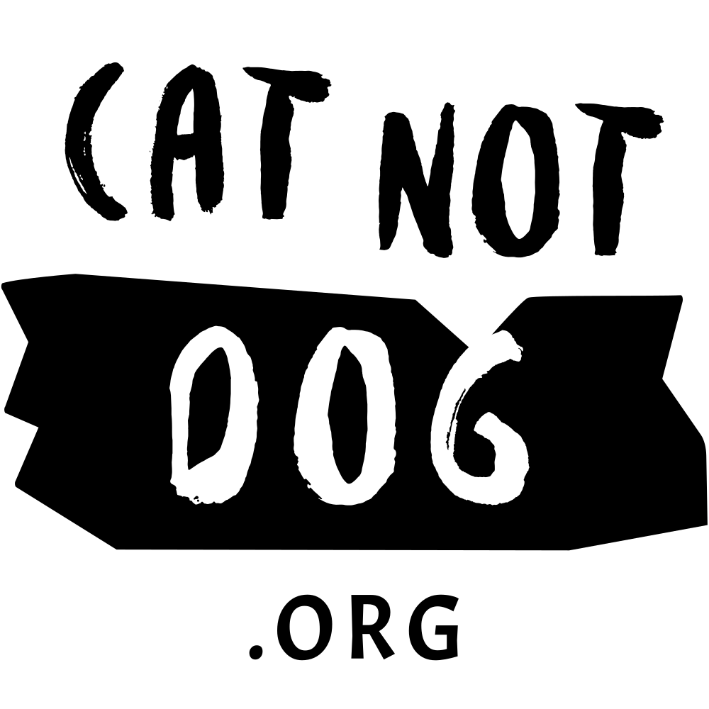 Cat Not Dog