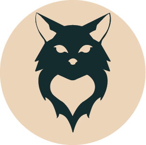 GitHub - martrohelsanchez/Chatty