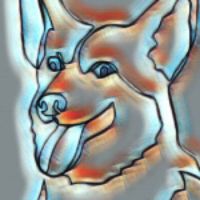 Coinscope | FURRY DOGE