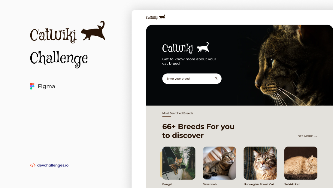 GitHub - ips-coding-challenge/cat-challenge GitHub - ips-coding-challenge/cat-challenge