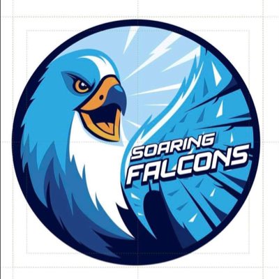 Adamson Soaring Falcons | VALORANT Team - Gankster