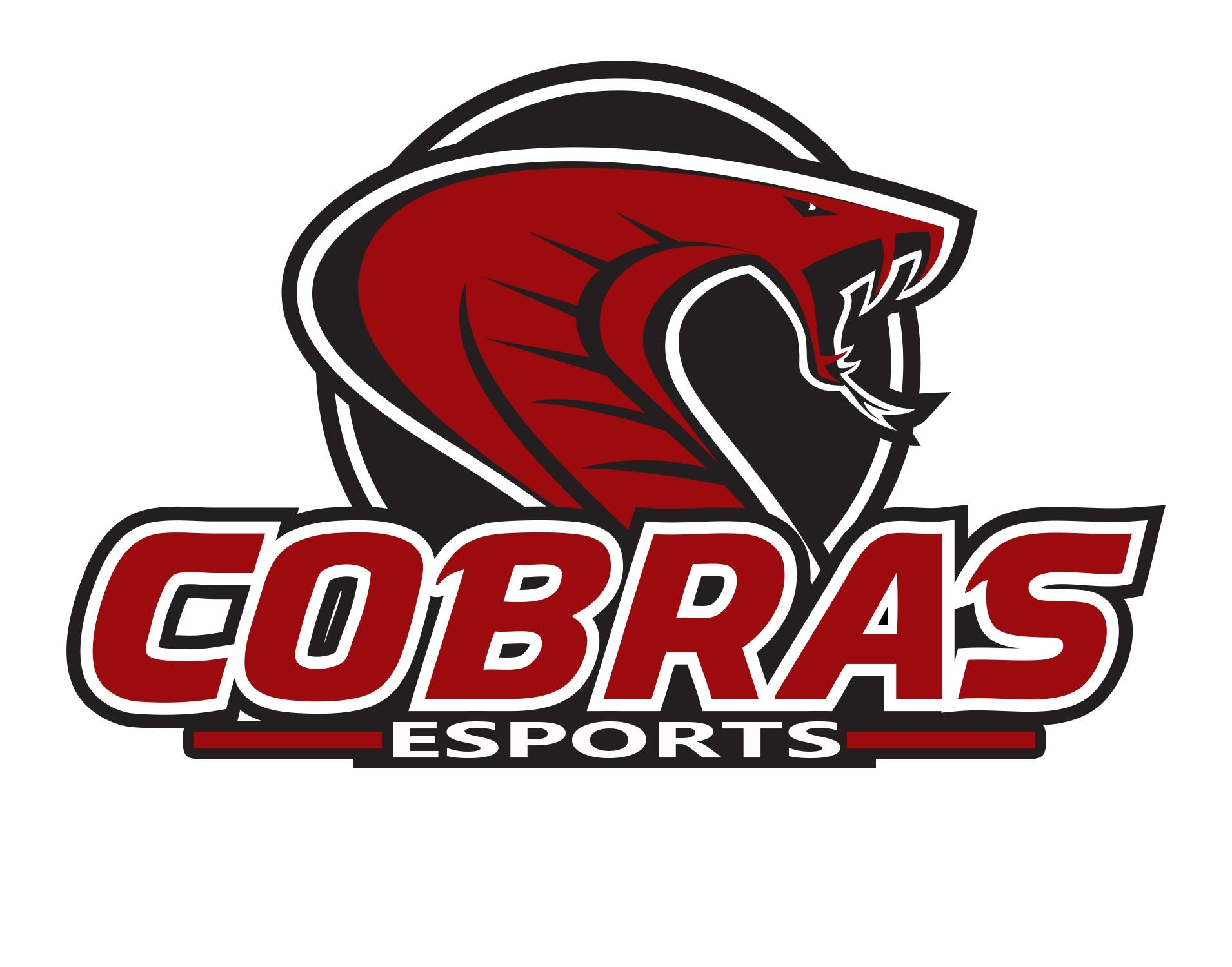 Cobra Esports | VALORANT Team - Gankster