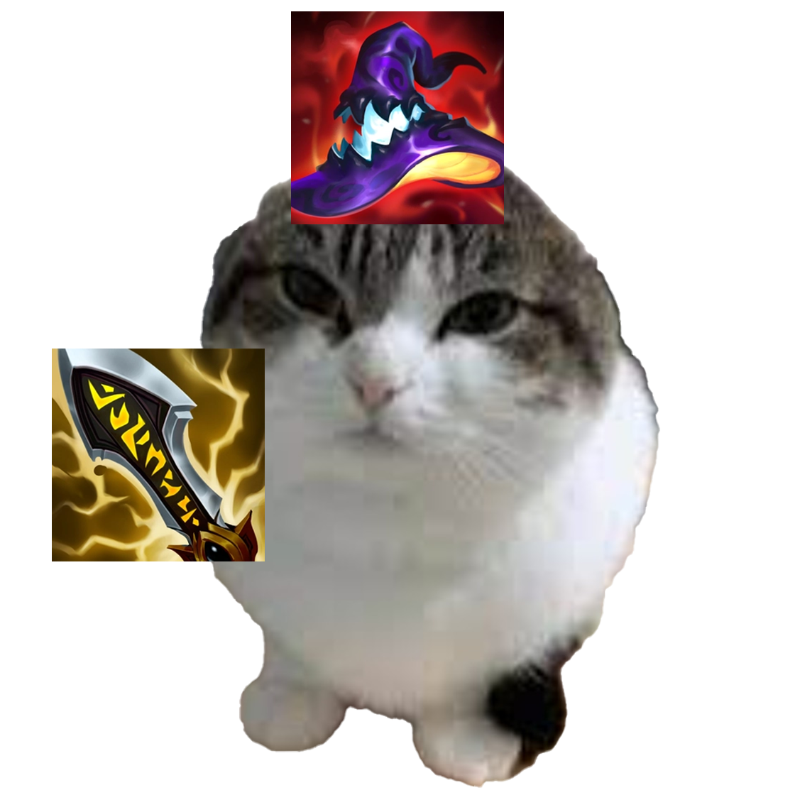 Wawa Warriors | VALORANT Team - Gankster