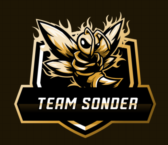 Team Sonder | VALORANT Team - Gankster