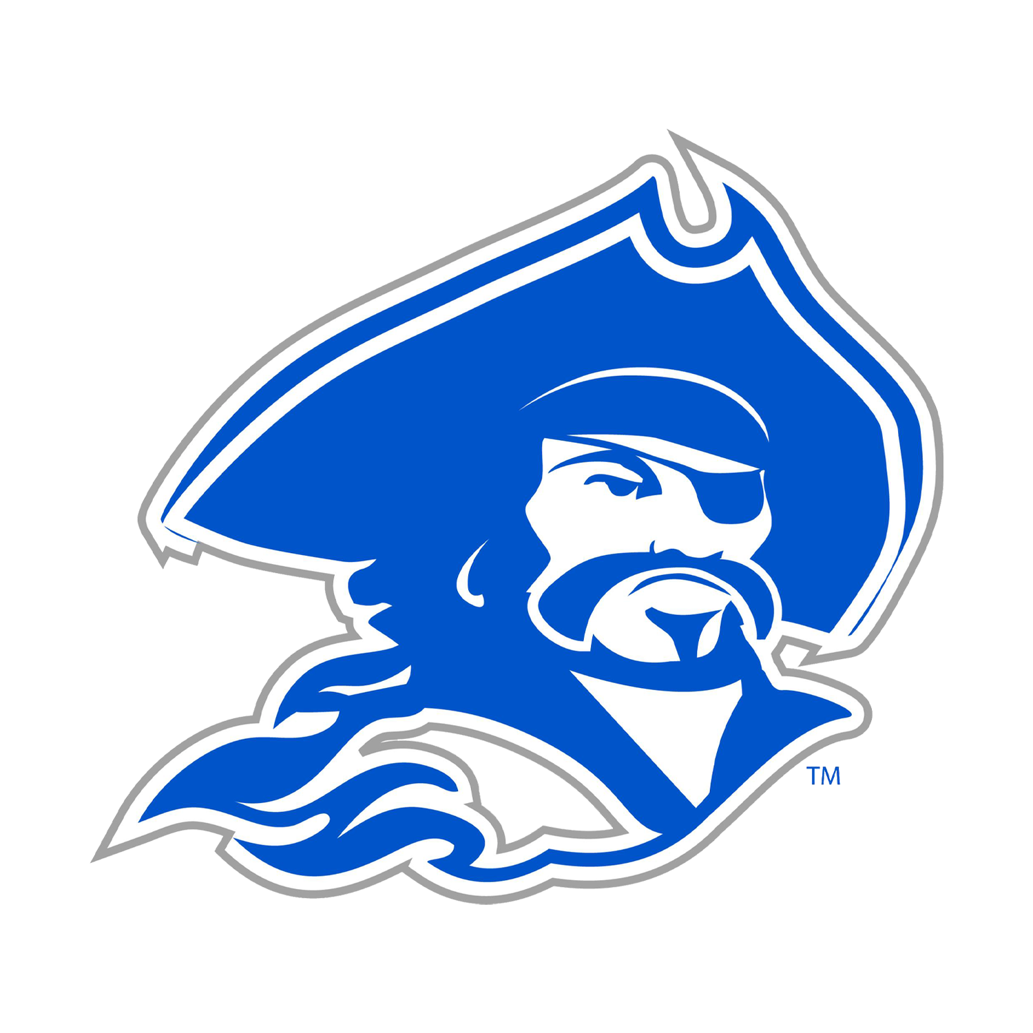 Blinn VAL Blue | VALORANT Team - Gankster