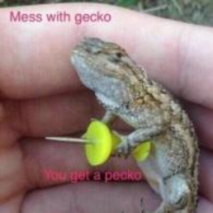 SBB | VALORANT Team - Gankster