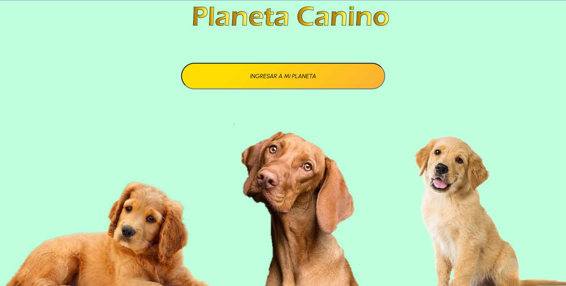 GitHub - Zalo7/PI-Dogs