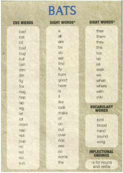 Bats - Words - English Speaking Practice