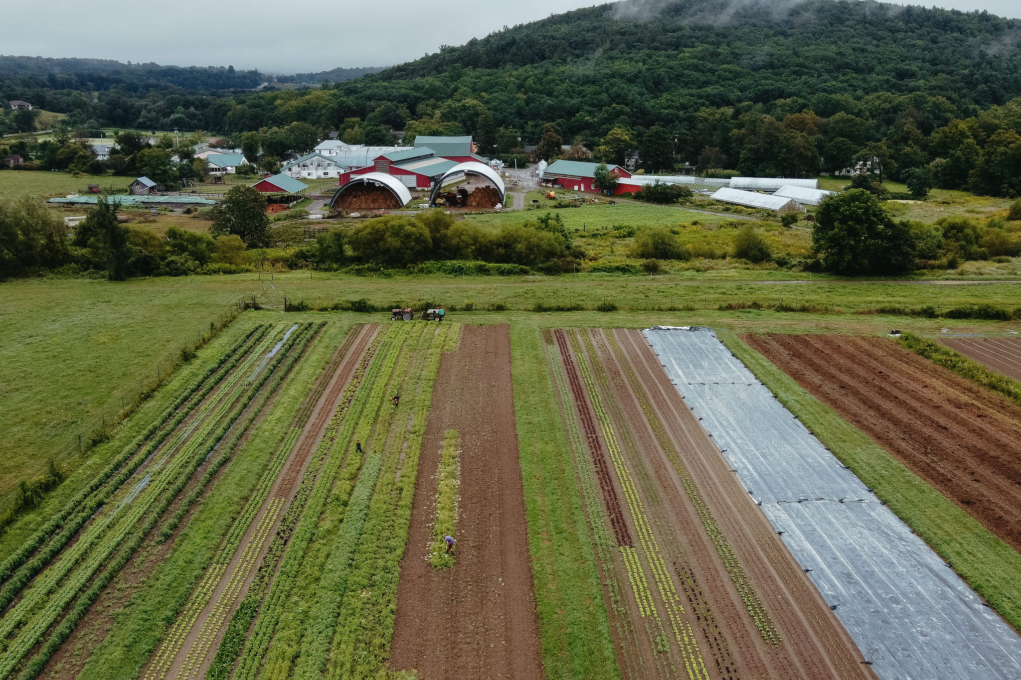 Shop Hawthorne Valley Farm And Creamery on GrownBy