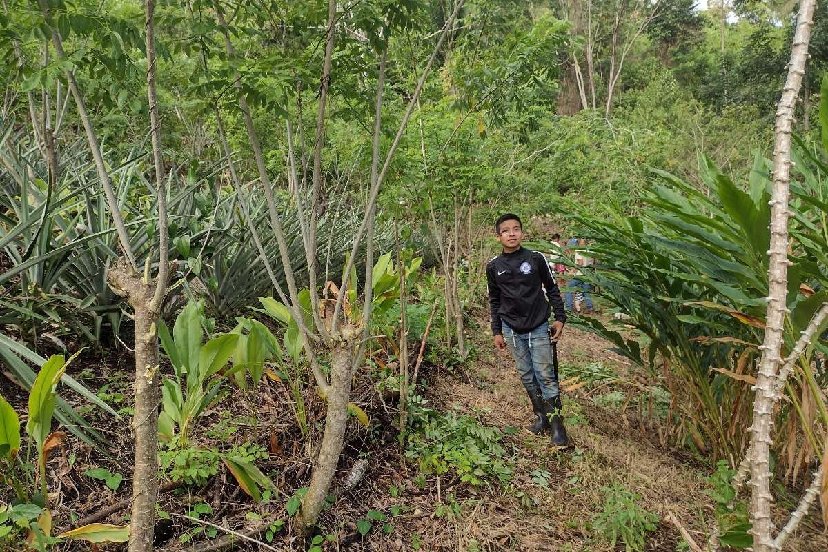Shop Contour Lines Center Asheville on GrownBy