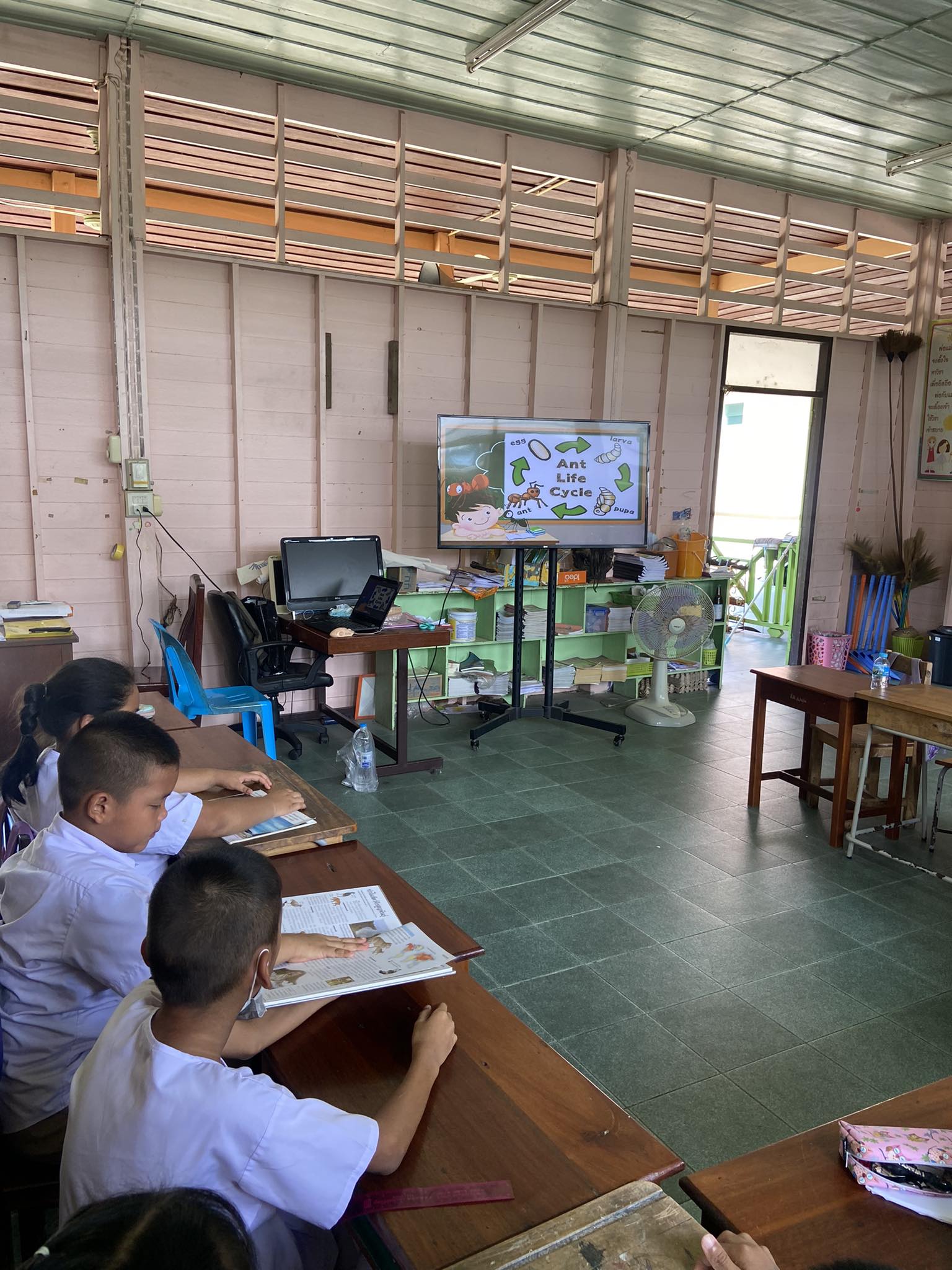 Inskru | I Sea You (ส่องวงจรชีวิตสัตว์ทะเล)