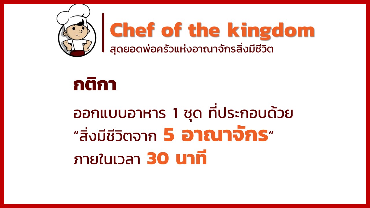 Chef of the kingdom - insKru