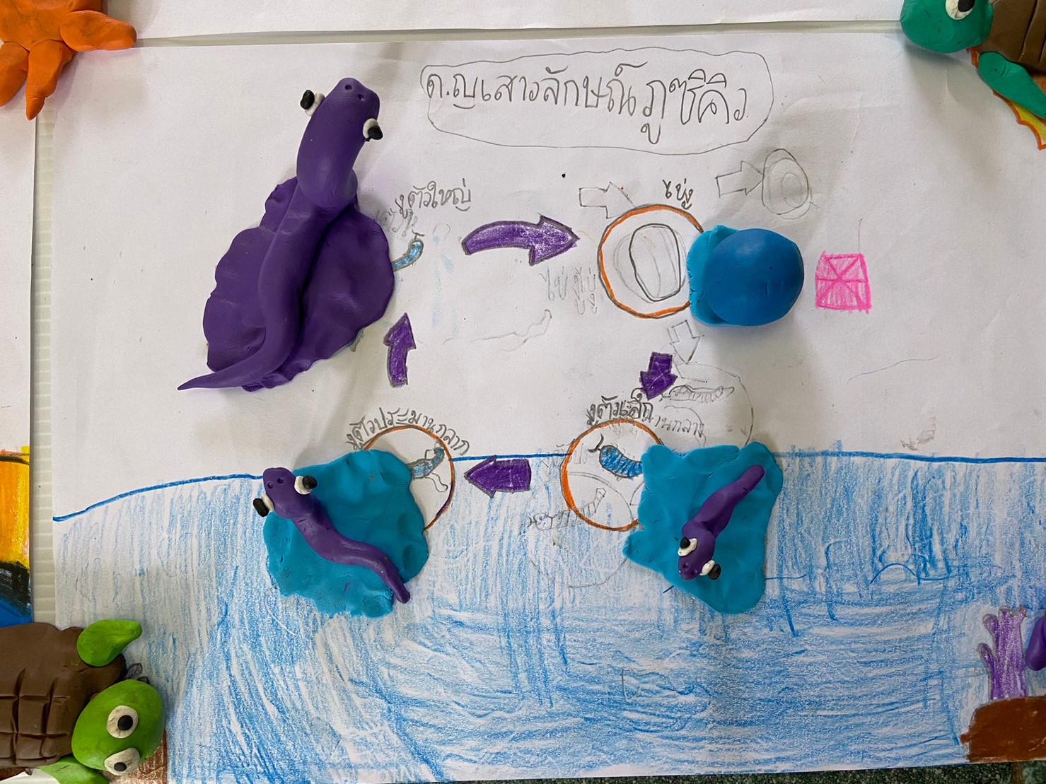 Inskru | I Sea You (ส่องวงจรชีวิตสัตว์ทะเล)