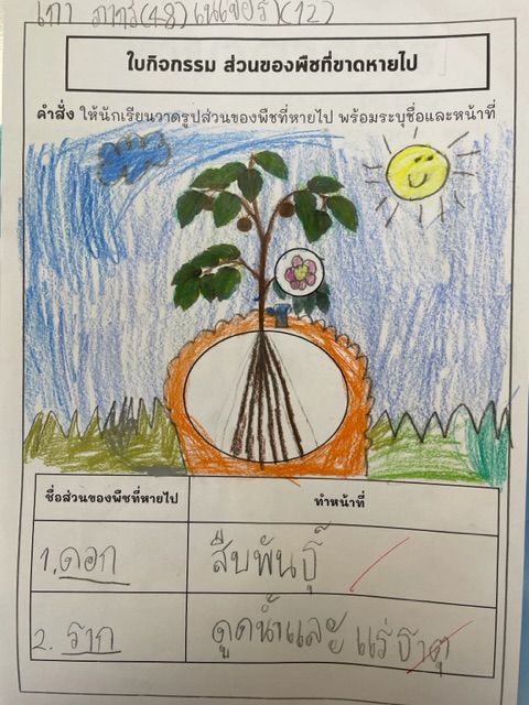 Inskru | มารู้จักโครงสร้างพืชกับกิจกรรมส่วนของพืชที่หายไป