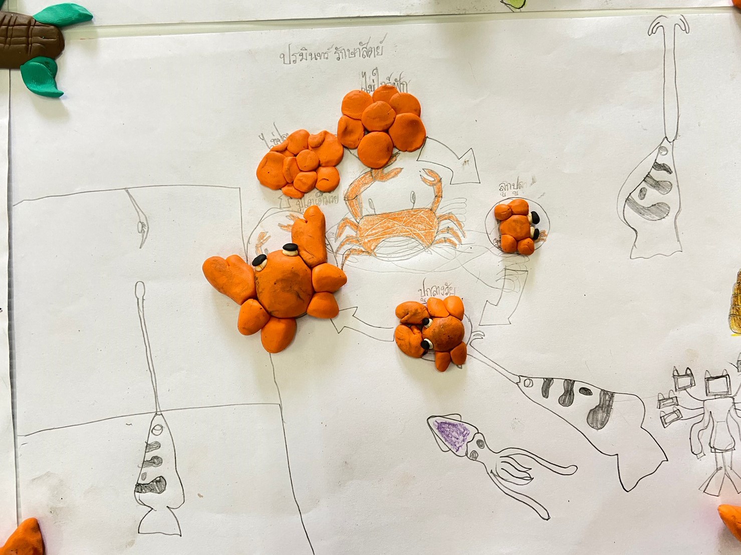 Inskru | I Sea You (ส่องวงจรชีวิตสัตว์ทะเล)