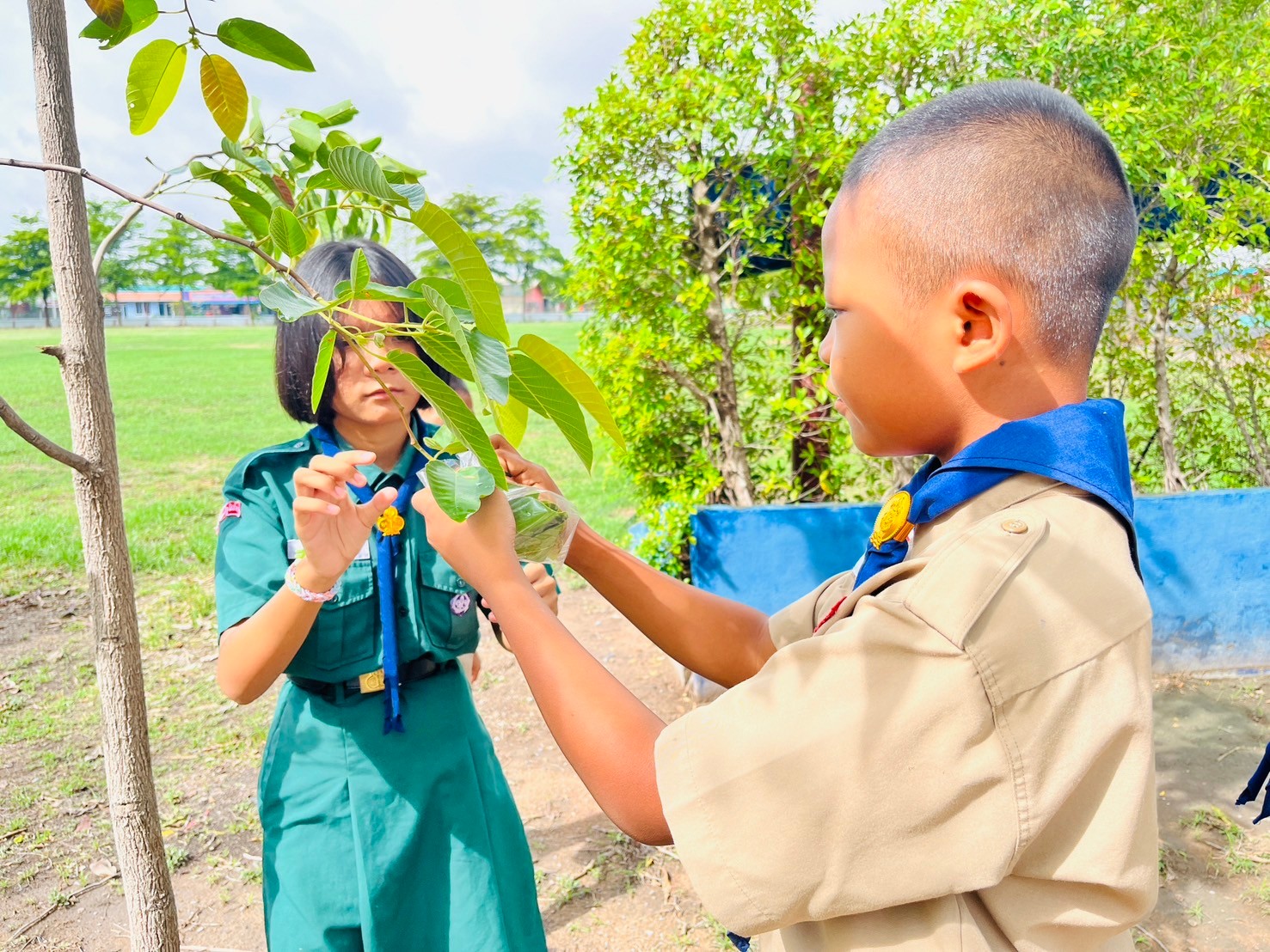 Inskru | เรียนวิทย์ให้เป็นคนเก่งและคนดีด้วย DEKDEE MODEL