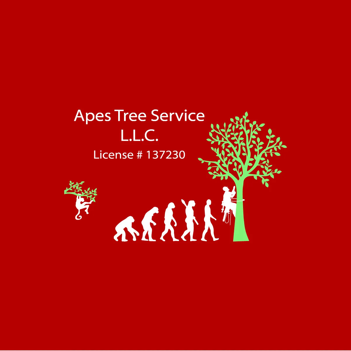 Apes Tree Service LLC | Services