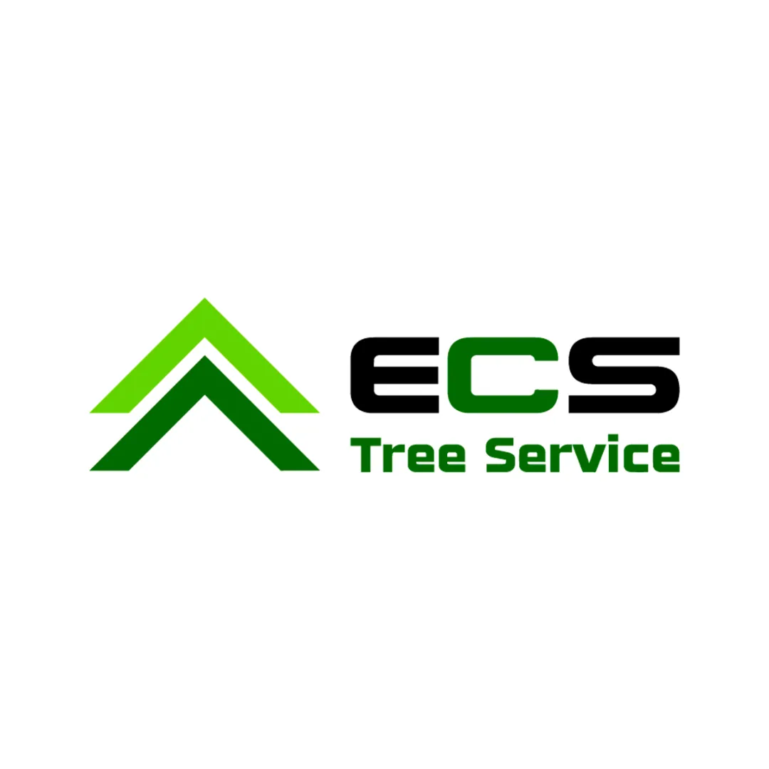 Ecs Tree Service | About Us
