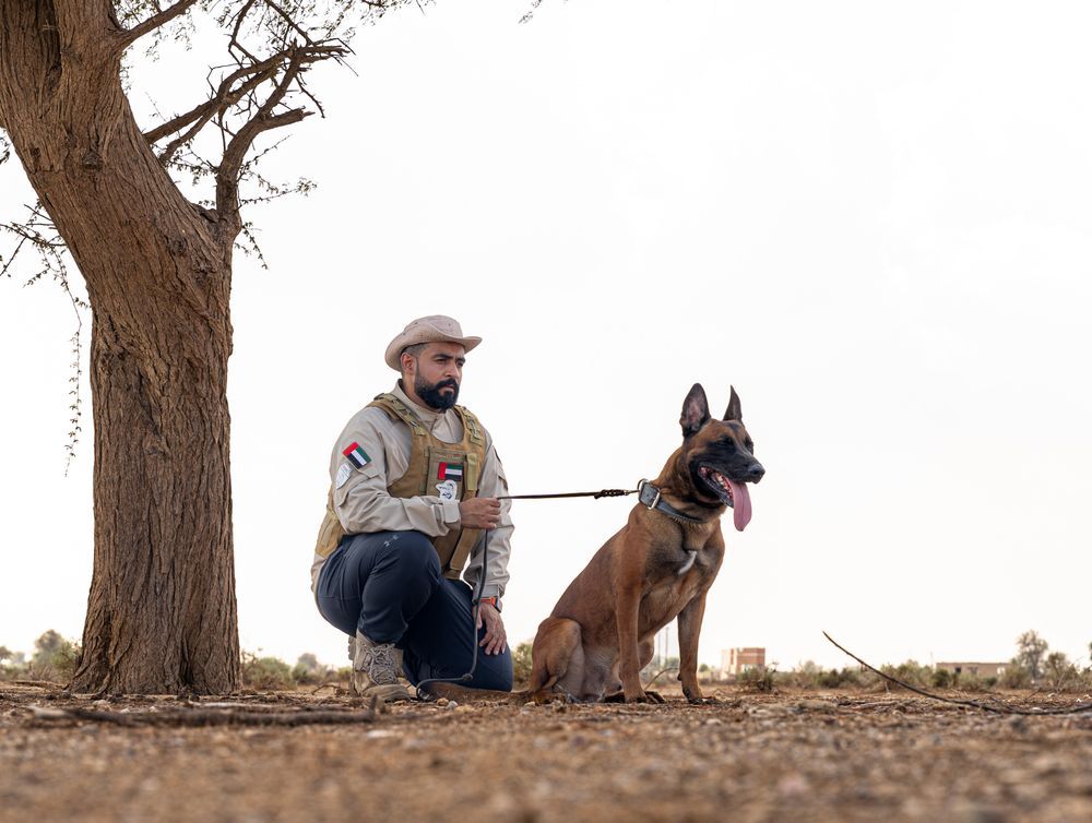 MDK Security Dog Training | Professional K9 Training in UAE