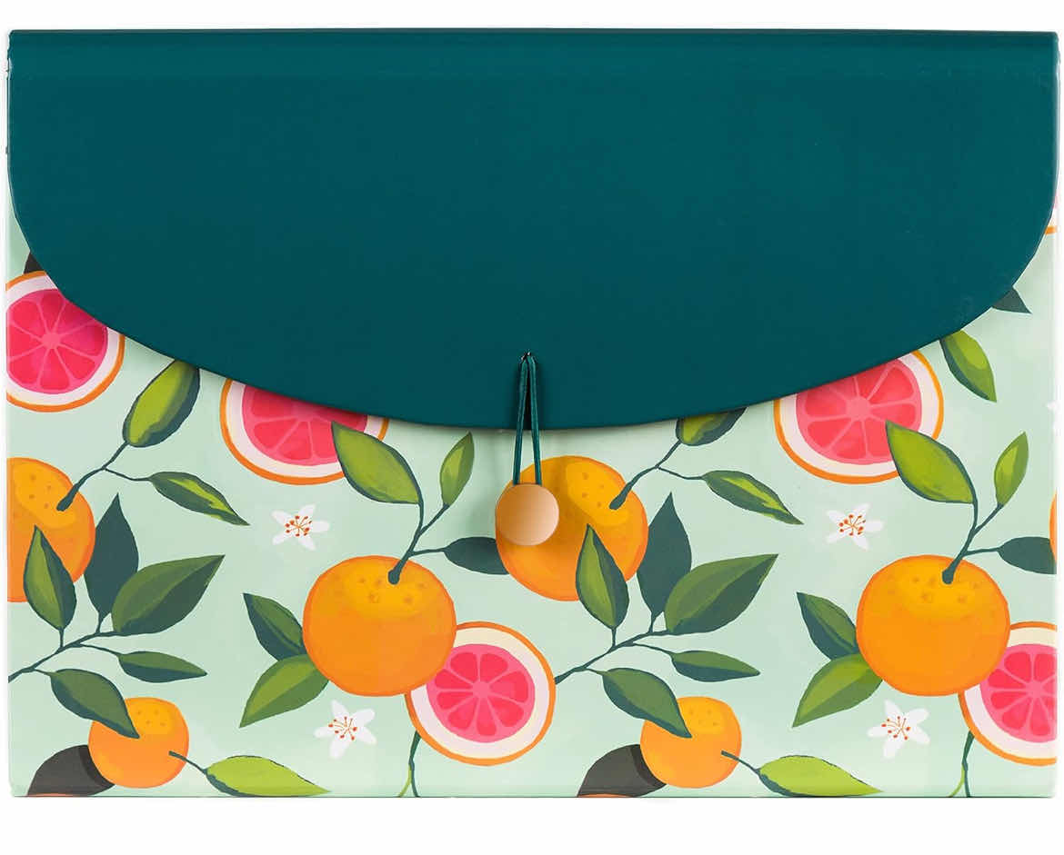 U BRANDS 13-POCKET EXPANDING FILE FOLDER OFFICE SUPPLIES CITRUS SQUEEZE ...