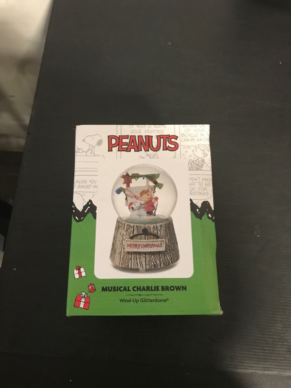 Roman Peanuts Charlie Brown and Snoopy Christmas Decorating Musical ...