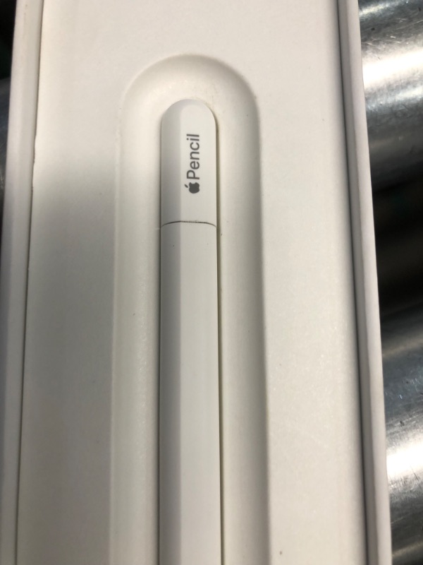 Apple Pencil (USB-C): Pixel-Perfect Precision, Tilt Sensitivity, and ...
