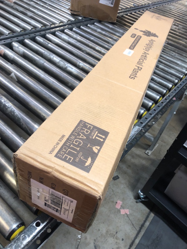 Fake rubber tree for sale | Las Vegas, NV | Nellis Auction