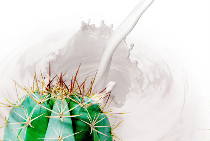 Piles Treatment in Gurgaon, Delhi, Noida | Laser Piles (Hemorrhoids ...