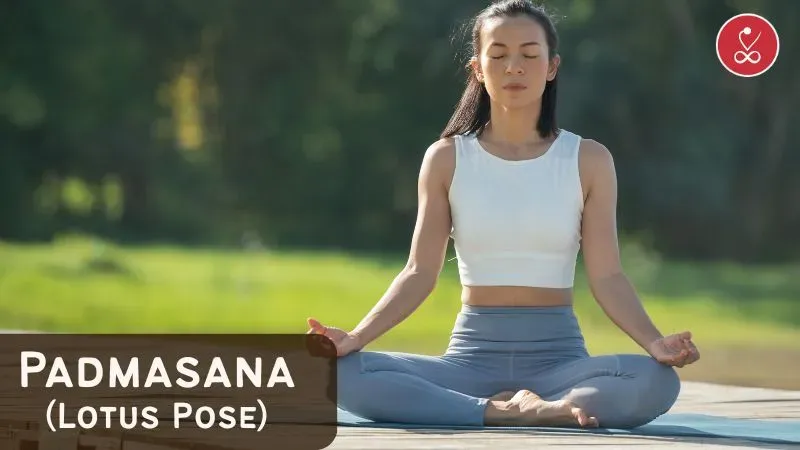 Padmasana (Lotus Pose): Steps, Benefits & Precautions