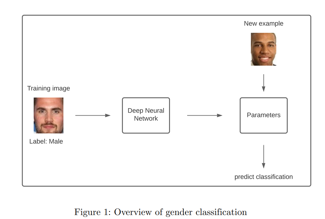 GitHub - dinhhoanganh2001/Gender-Classification: Implement Deep Neural ...