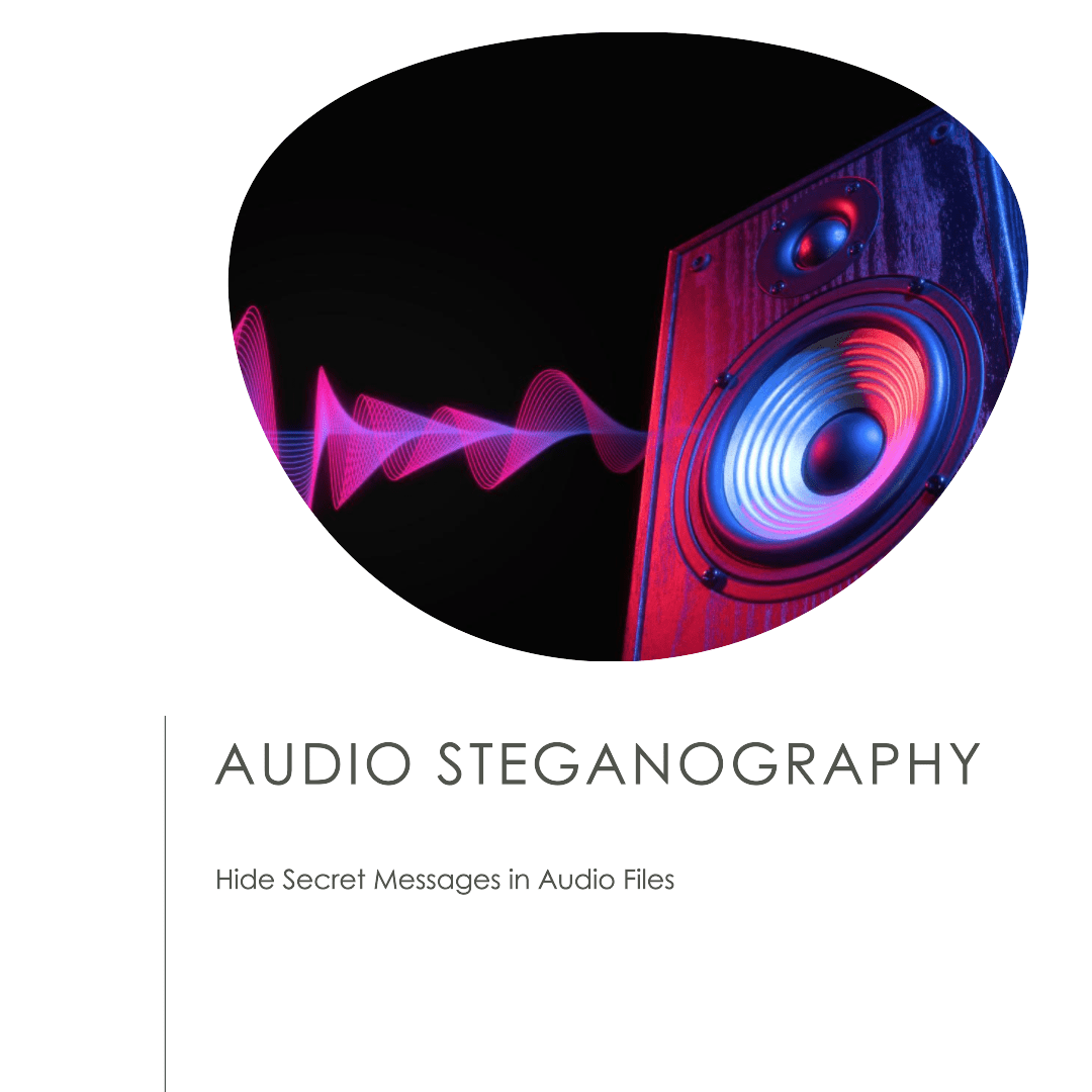 Web Based Steganography Tool