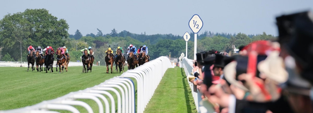 “The pinnacle of racing”: Elam happy with Kitty Rose