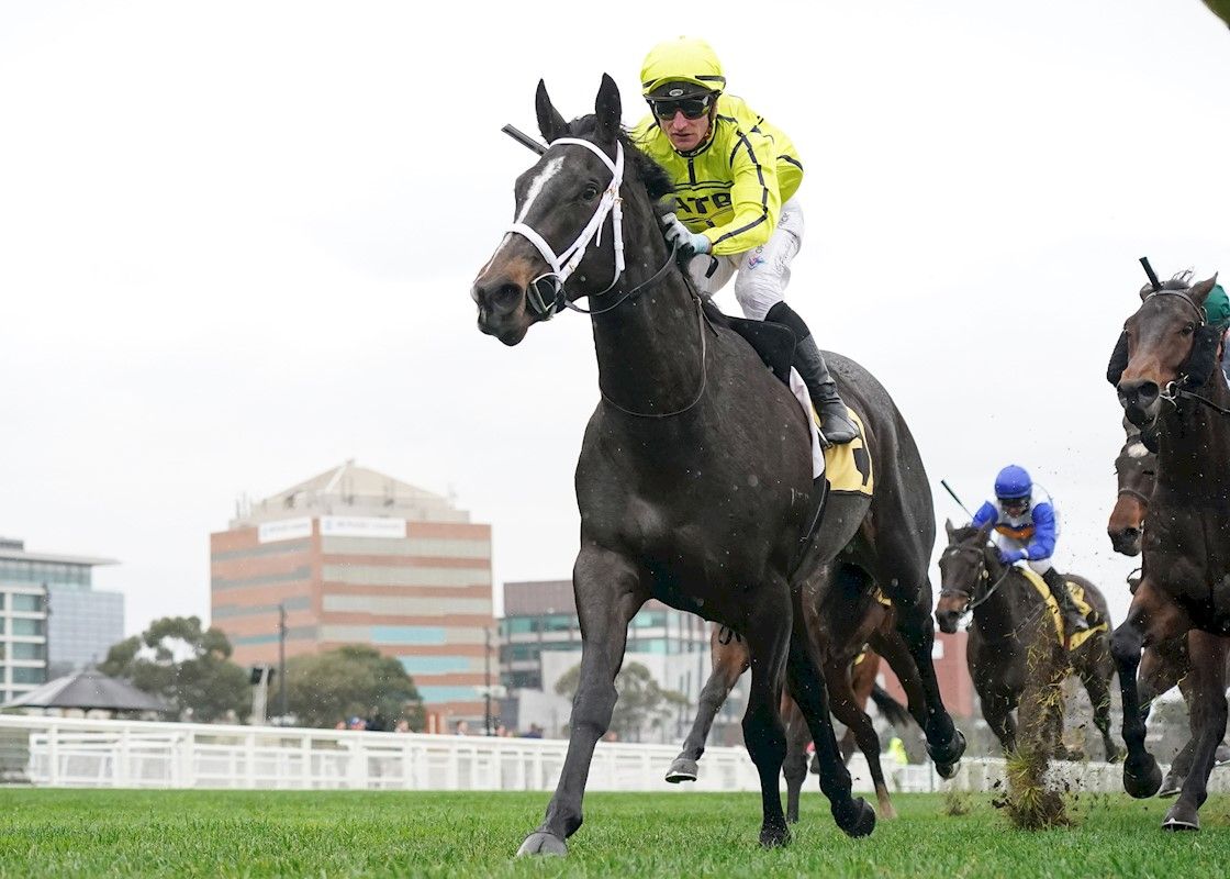 'Thank God this filly is quiet because she’s too big to be naughty ...