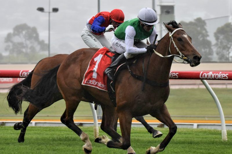 Black type fields: Hobart