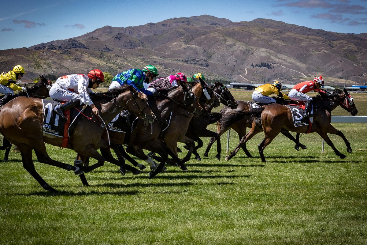 Black type fields: Wingatui