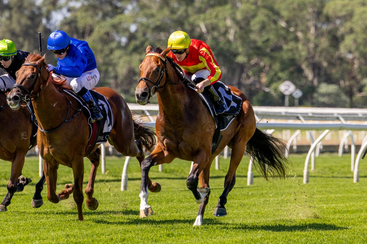 Wednesday Racing: Ole Kirk and Super Seth keep the momentum going