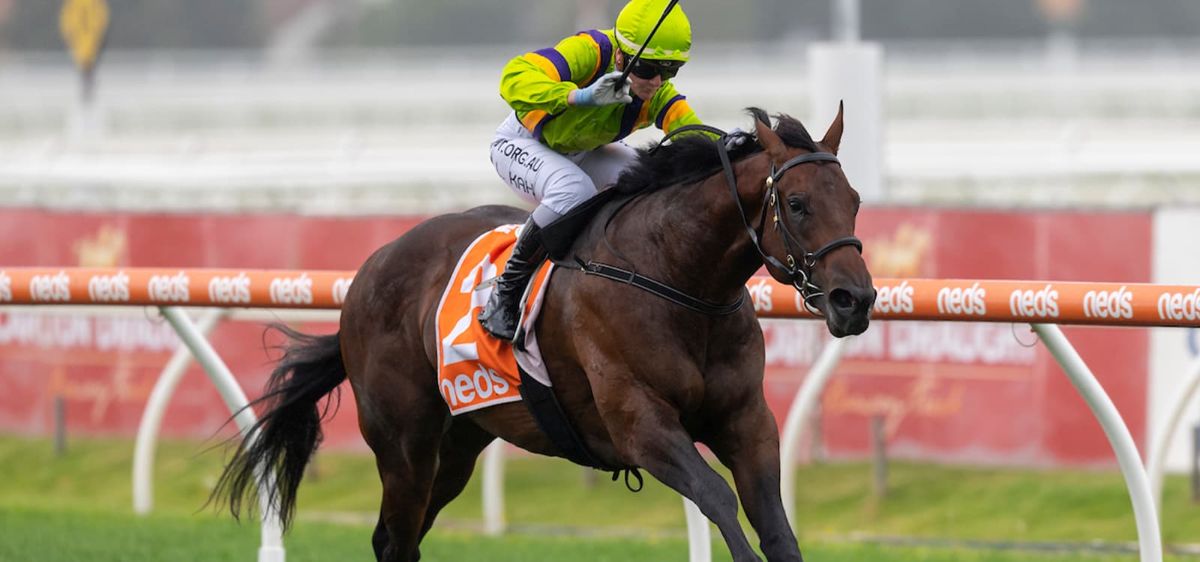 Beau ‘in great order’ ahead of Diamond audition