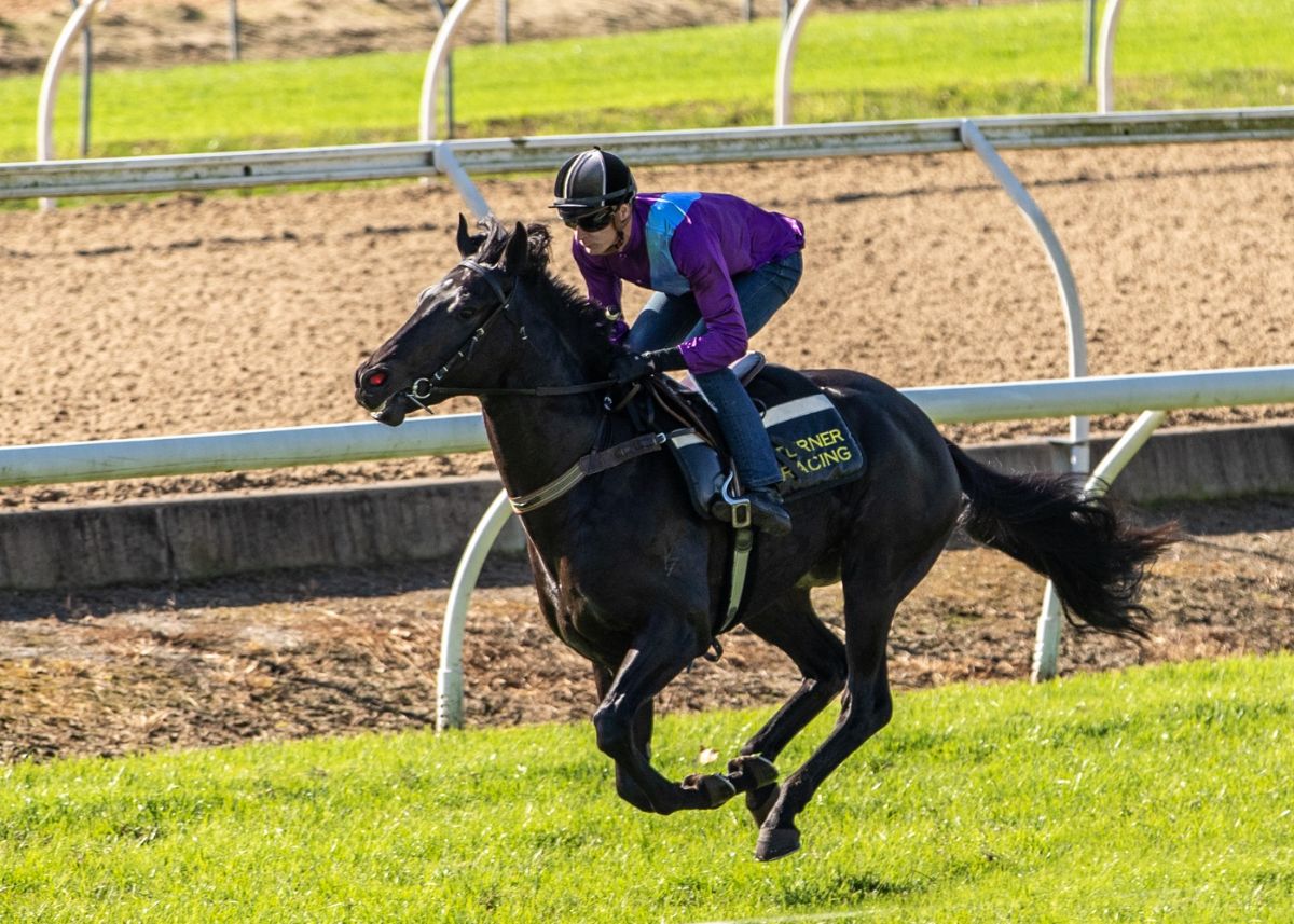 Trial Report: Daughter of Alizee salutes at Warwick Farm