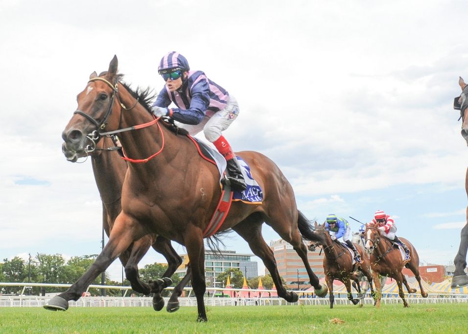 The $10k ‘Queen’ who put Hayfields Racing on the map