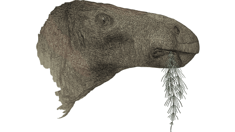 UK’s most complete dinosaur fossil in a century reveals new species ...