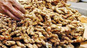 Farmers protest ginger imports from China | The Morning