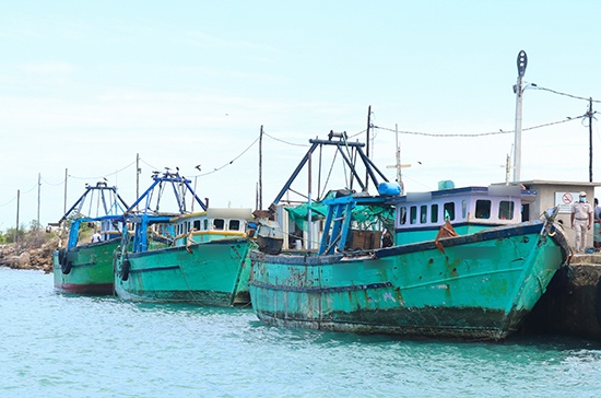 Palk Straits IUU fishing: Navy nabs 3 more Indian trawlers for poaching ...