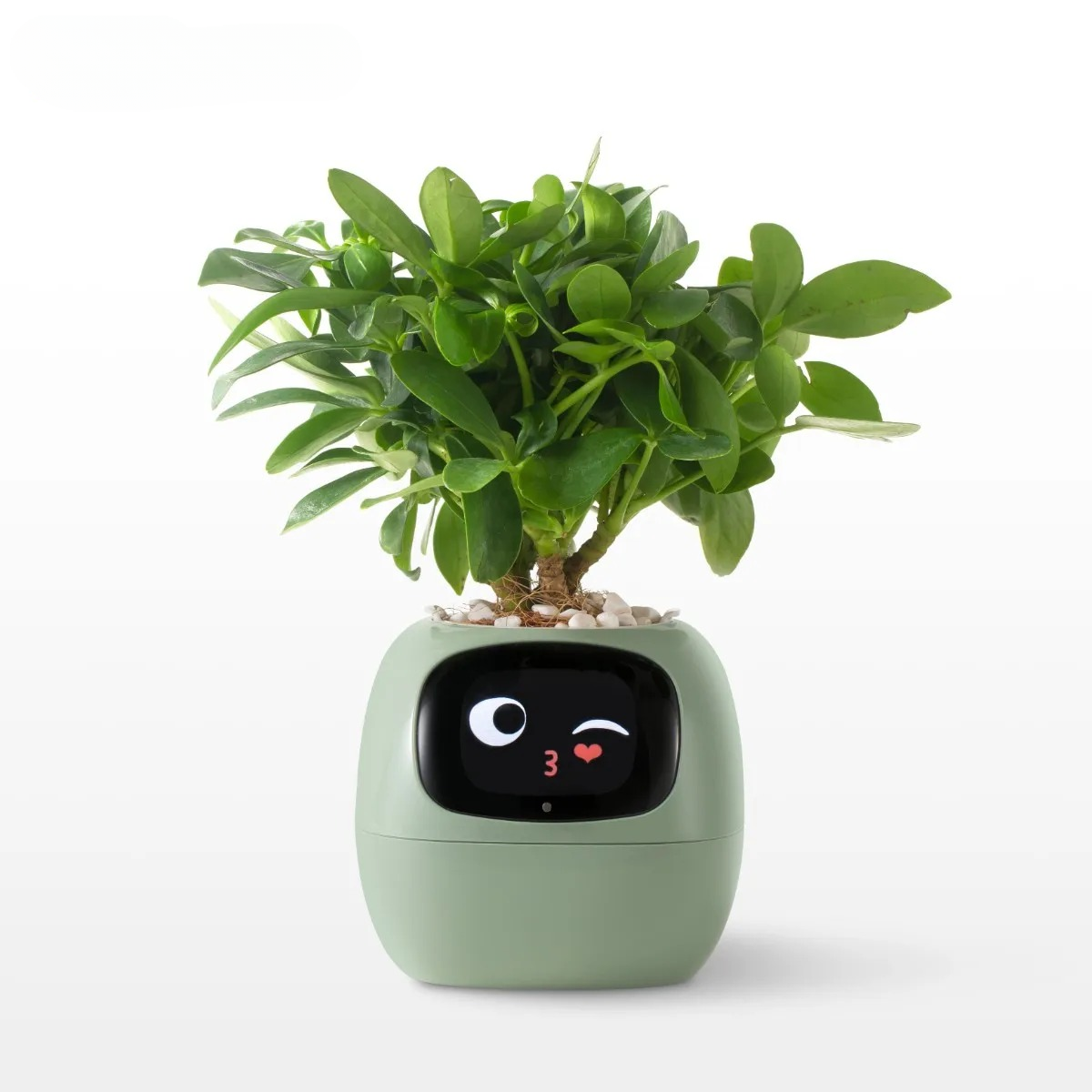 Smart Robot Planter - $60.72 on AliExpress, via Thieve • thieve.co
