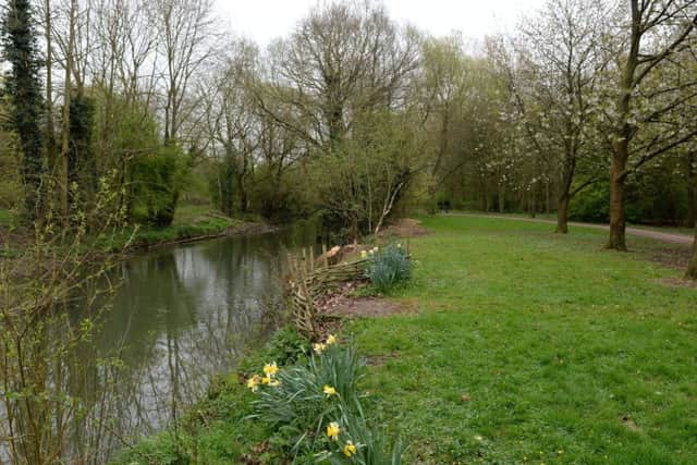 eventImages%2FDsj81WodIspduJrb20EY%2Flegacy_oak_93160165 (2).jpg?alt ...