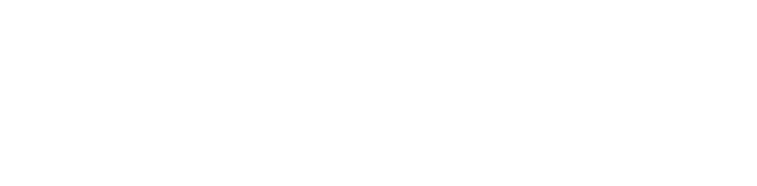 Total Mobility Solution