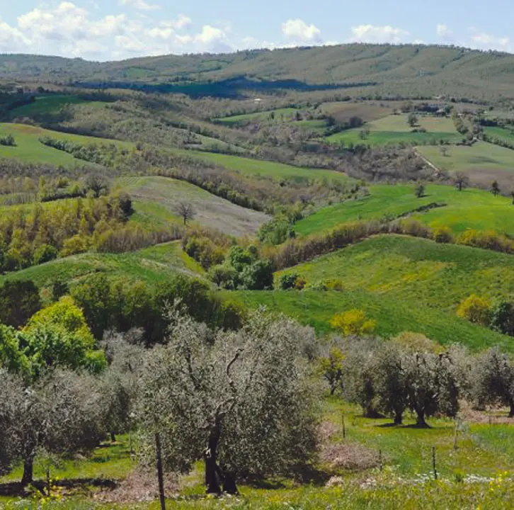 Tumn: eccellenze enogastronomiche da scoprire